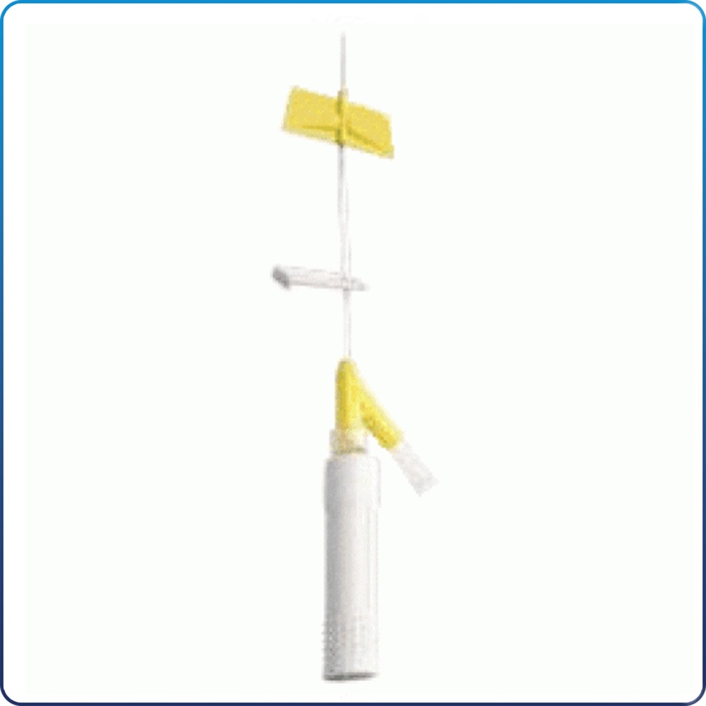 BD Saf-T-Intima™ IV Catheter with Needle Shield | My Website